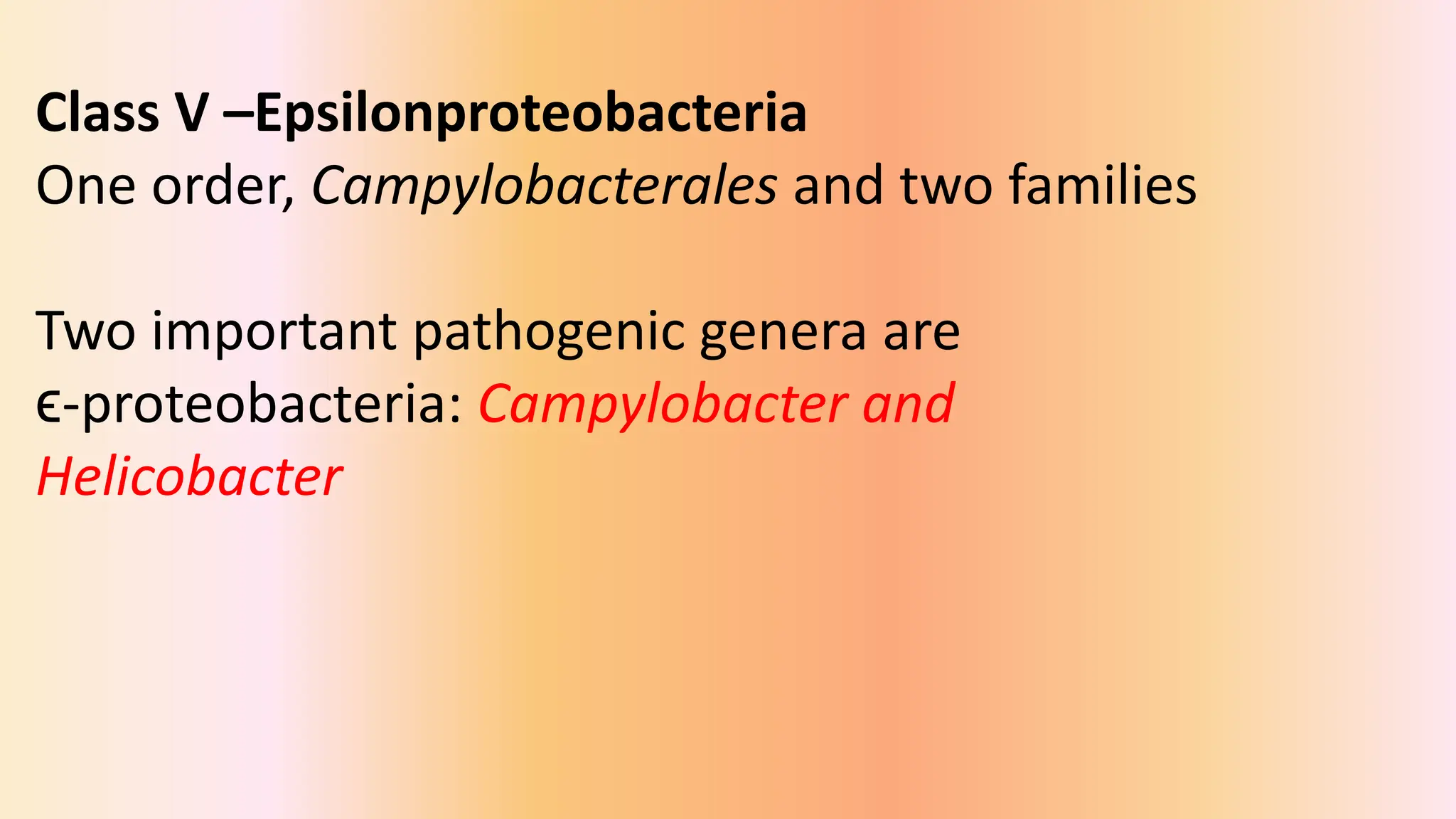 Bergey's mannual of systematics Bacteriology | PDF