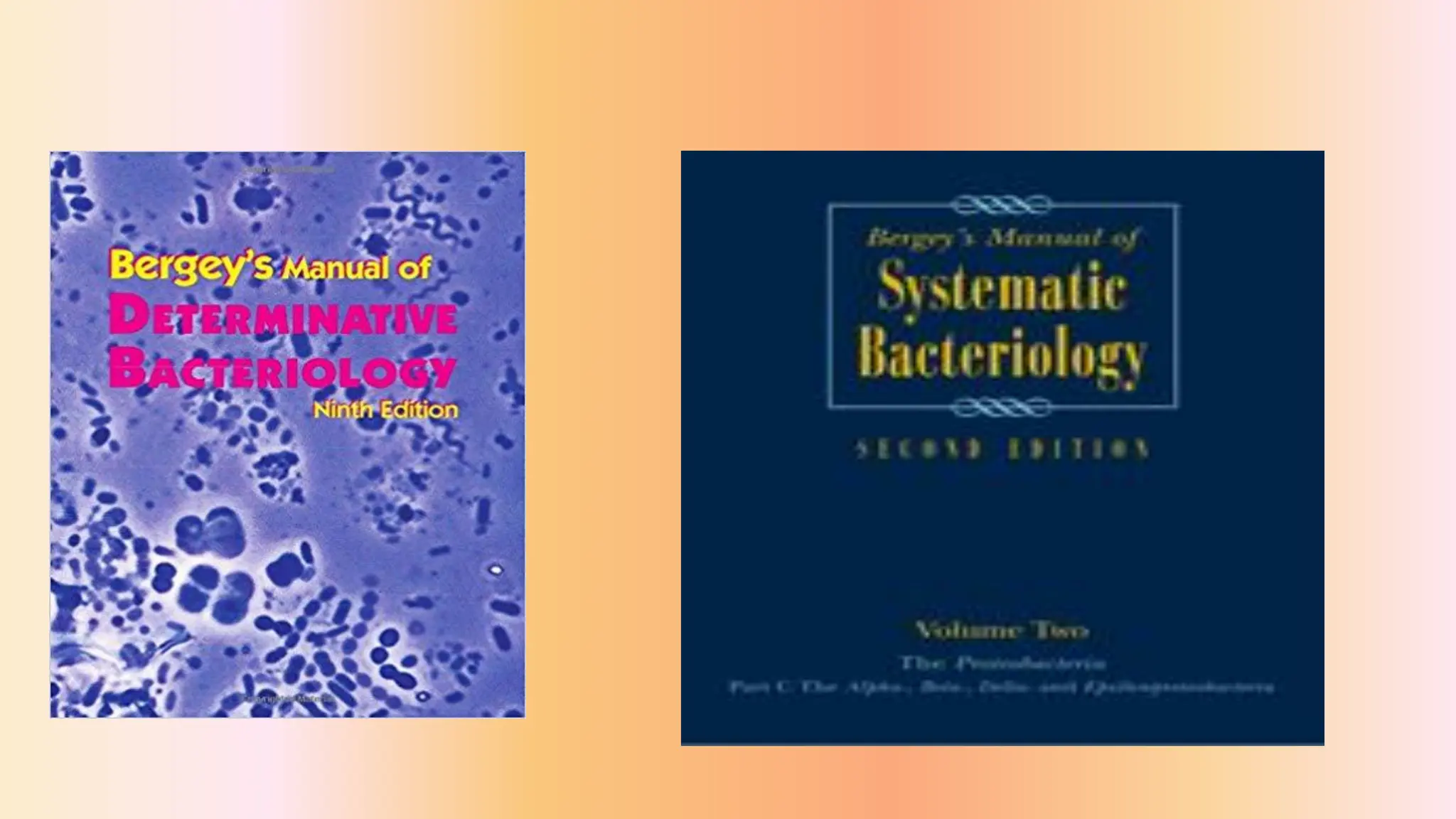Bergey's mannual of systematics Bacteriology | PDF