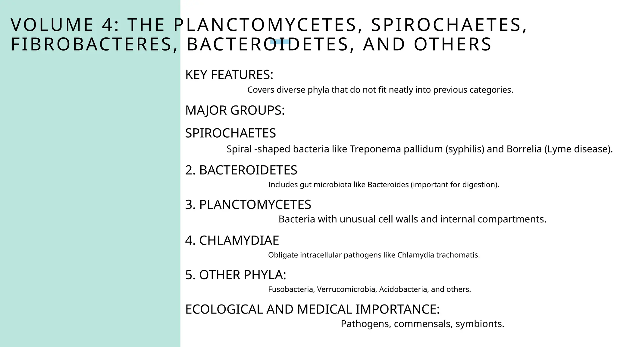 Bergey’s manual classificationBergey’s manual classification.pptx