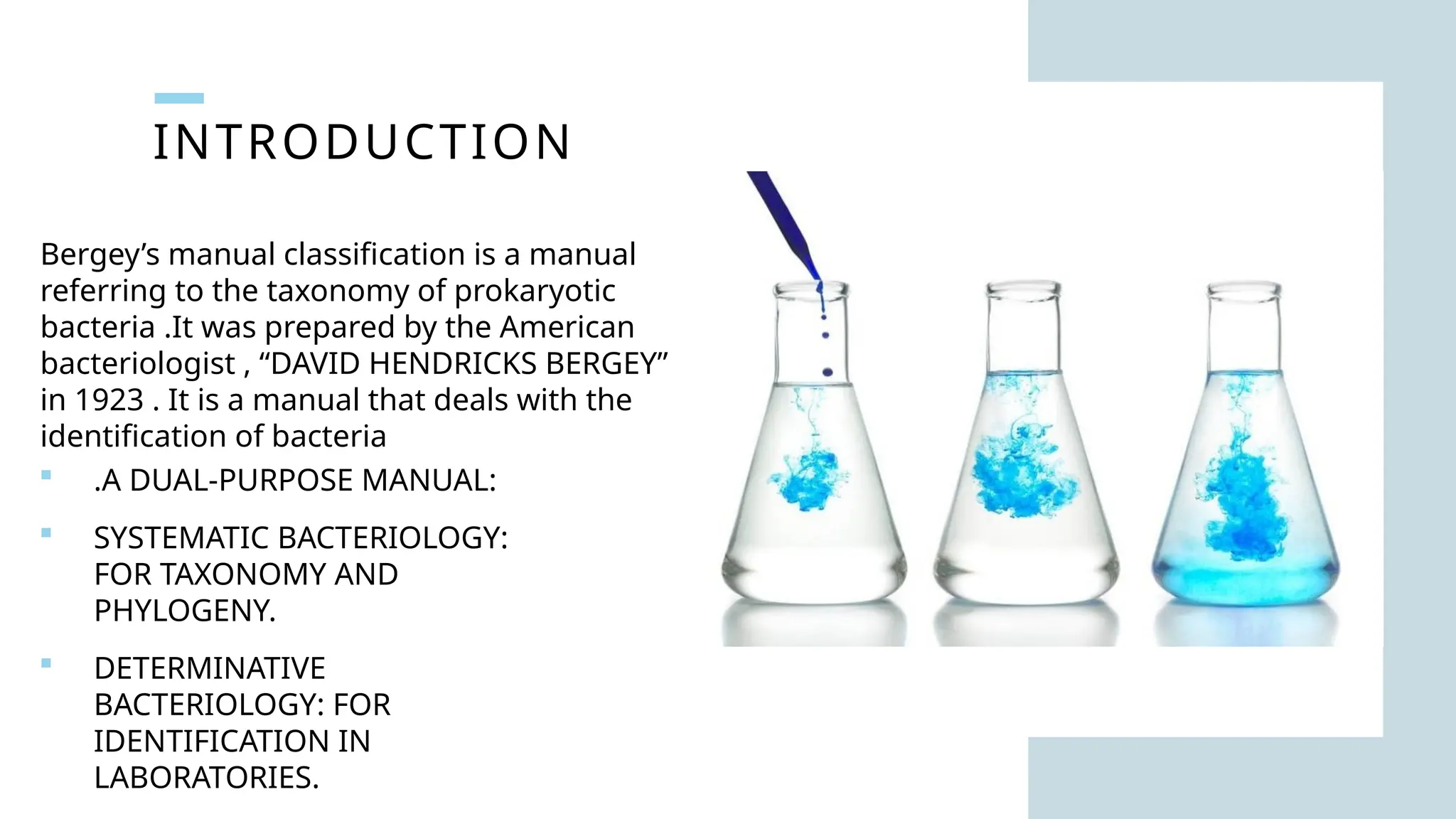 Bergey’s manual classificationBergey’s manual classification.pptx