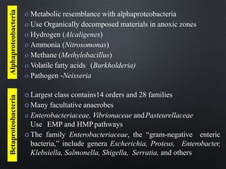 Bergey's manual systematic bacteriology IInd edition | PPSX