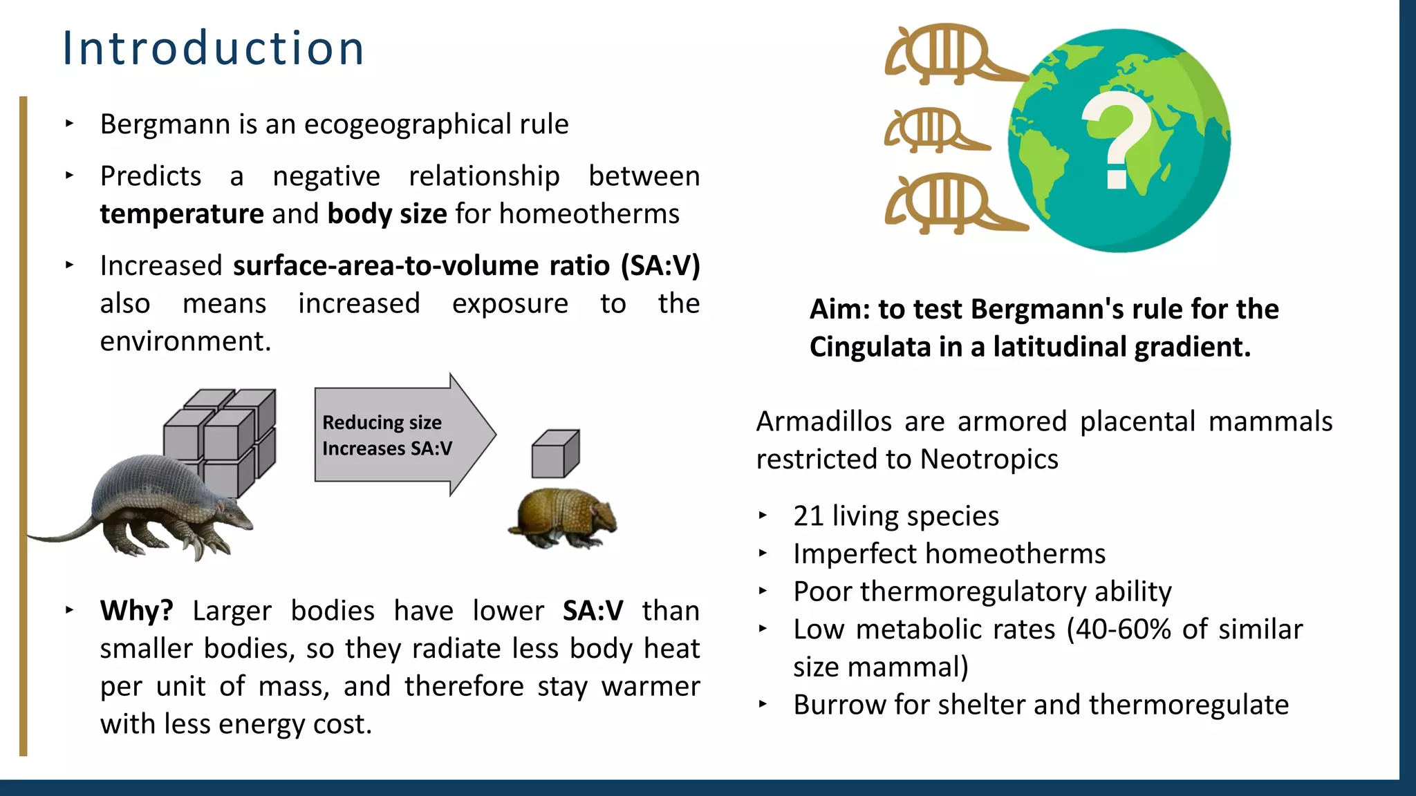 Does armadillos follow the Bergmann's Rule? | PPT