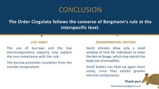 Does armadillos follow the Bergmann's Rule? | PPT