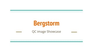 Bergstorm QC guidelines.................. | PDF