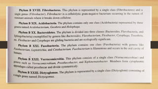 Bergys manual Bacteria used for bacteriaal classification | PPTX