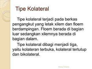 Berkas pengangkut | PPTX