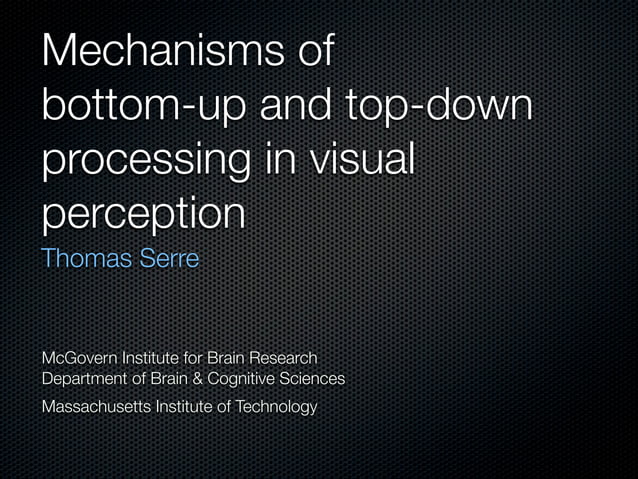 Mechanisms of bottom-up and top-down processing in visual perception | KEY | Graphics Software ...