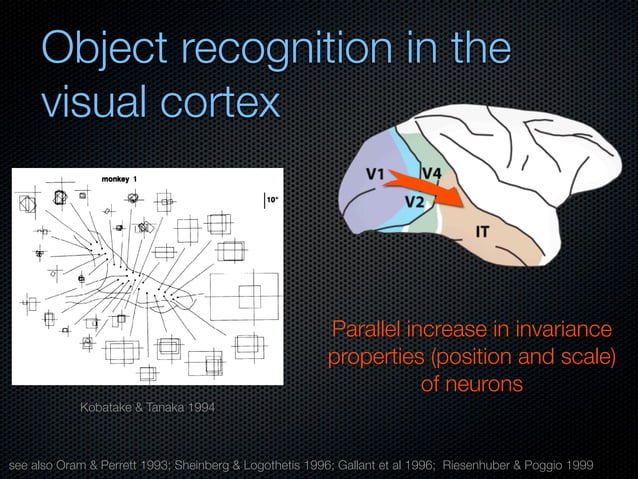 Mechanisms of bottom-up and top-down processing in visual perception | KEY | Graphics Software ...
