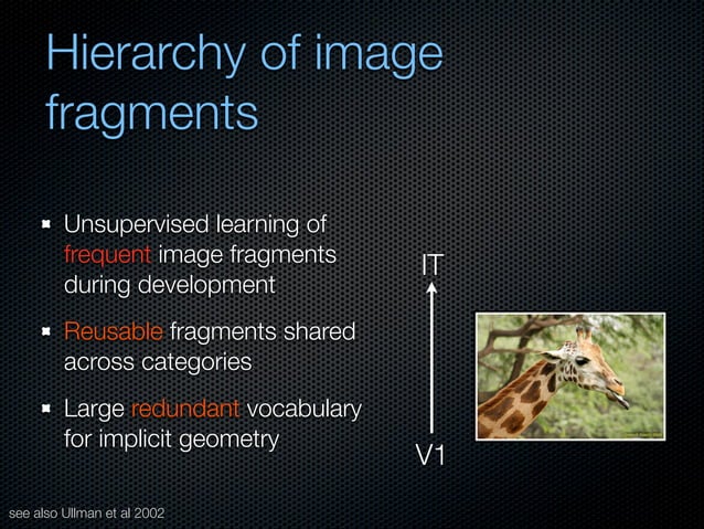 Mechanisms of bottom-up and top-down processing in visual perception | KEY | Graphics Software ...