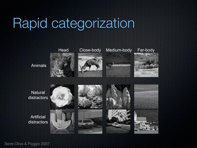 Mechanisms of bottom-up and top-down processing in visual perception | KEY | Graphics Software ...