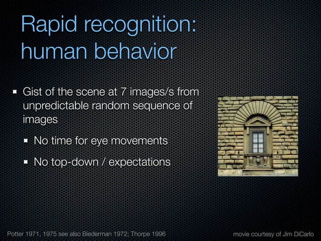 Mechanisms of bottom-up and top-down processing in visual perception | KEY | Graphics Software ...