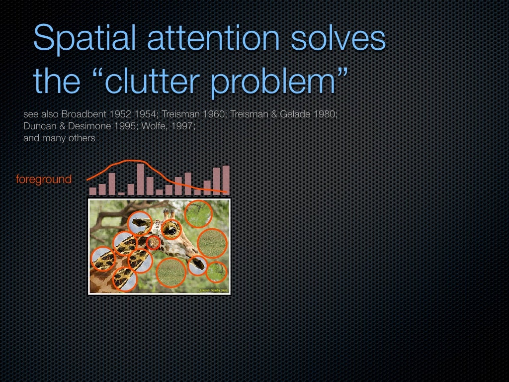 Mechanisms of bottom-up and top-down processing in visual perception