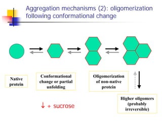 Focus on aggregation: types, causes, characterization, and impact | PPT