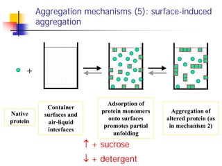 Focus on aggregation: types, causes, characterization, and impact | PPT