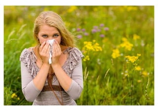 Bermuda Grass Allergy | PDF