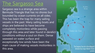 Bermuda triangle | PPT