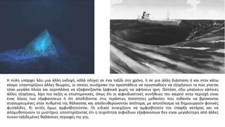 ΤΟ ΤΡΙΓΩΝΟ ΤΩΝ ΒΕΡΜΟΥΔΩΝ | PPTX