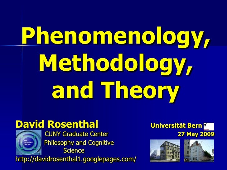 "Phenomenology, Methodology, and Theory"