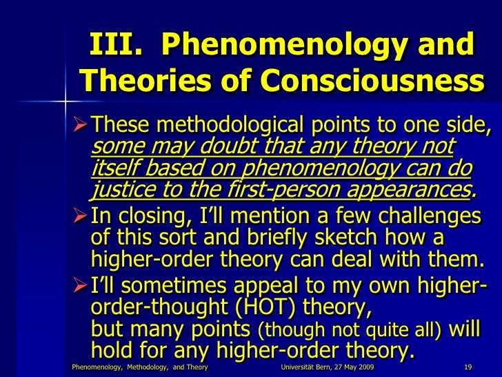 "Phenomenology, Methodology, and Theory"