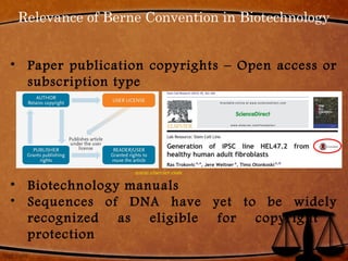 Berne Convention | PPT