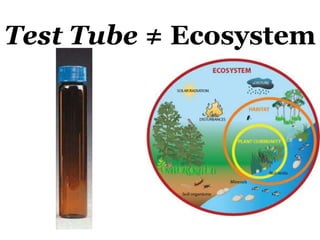 Nanomaterials in the Ecosystem: Should we worry? | PPT