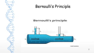 Theory on Bernoullis Euation | PDF
