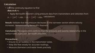 Project Presentation on Daniel Bernoulli | PPTX