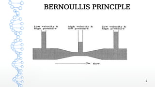 Bernoulli Theorem | PPT