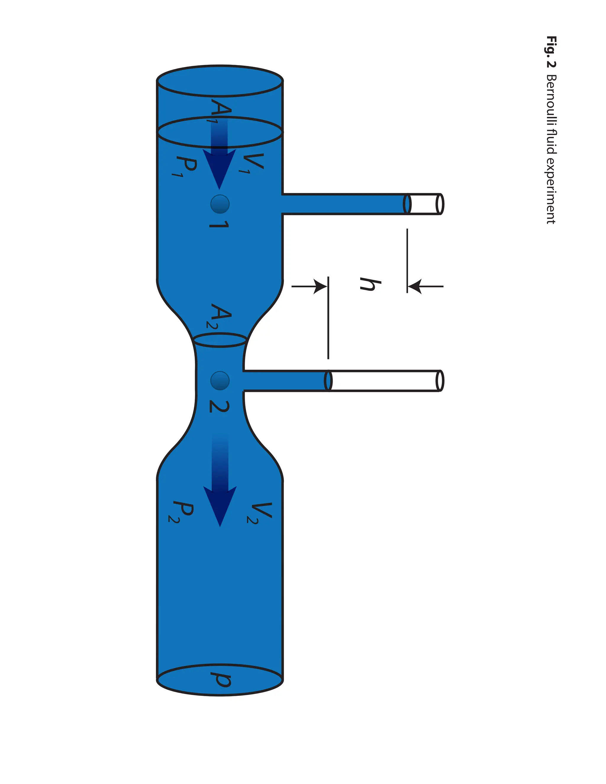 bernoullis principle of fluids and their properties | PDF