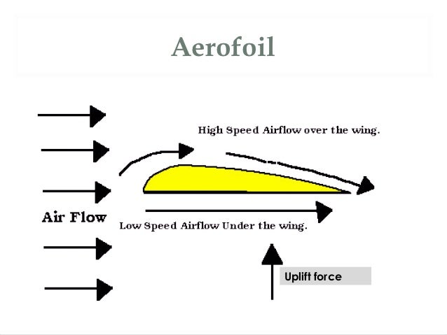 Examples of bernoulli principle - eastbasta