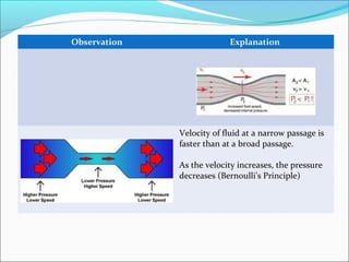 Bernoulli’s principle | PPT