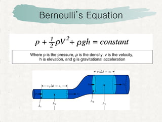 Bernoulli's Principle | PPT
