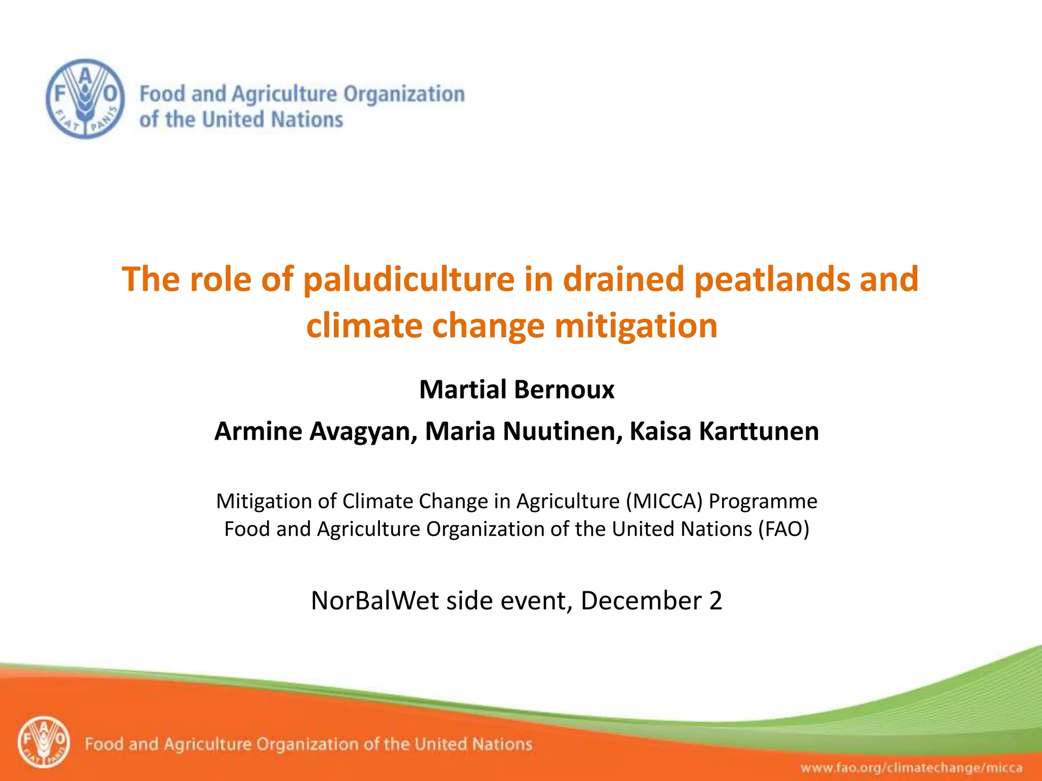 The role of paludiculture in drained peatlands and climate change ...