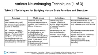 Bernstein_7episode_PowerPoint_Chapter2.pptx | Brain and Nervous System Disorders | Diseases and ...