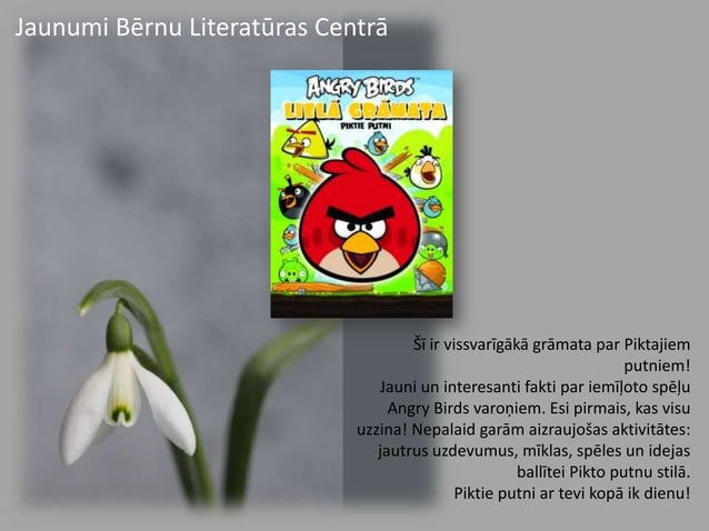 Bernu gramatas | PPT