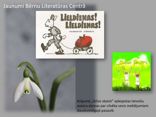 Bernu gramatas | PPT