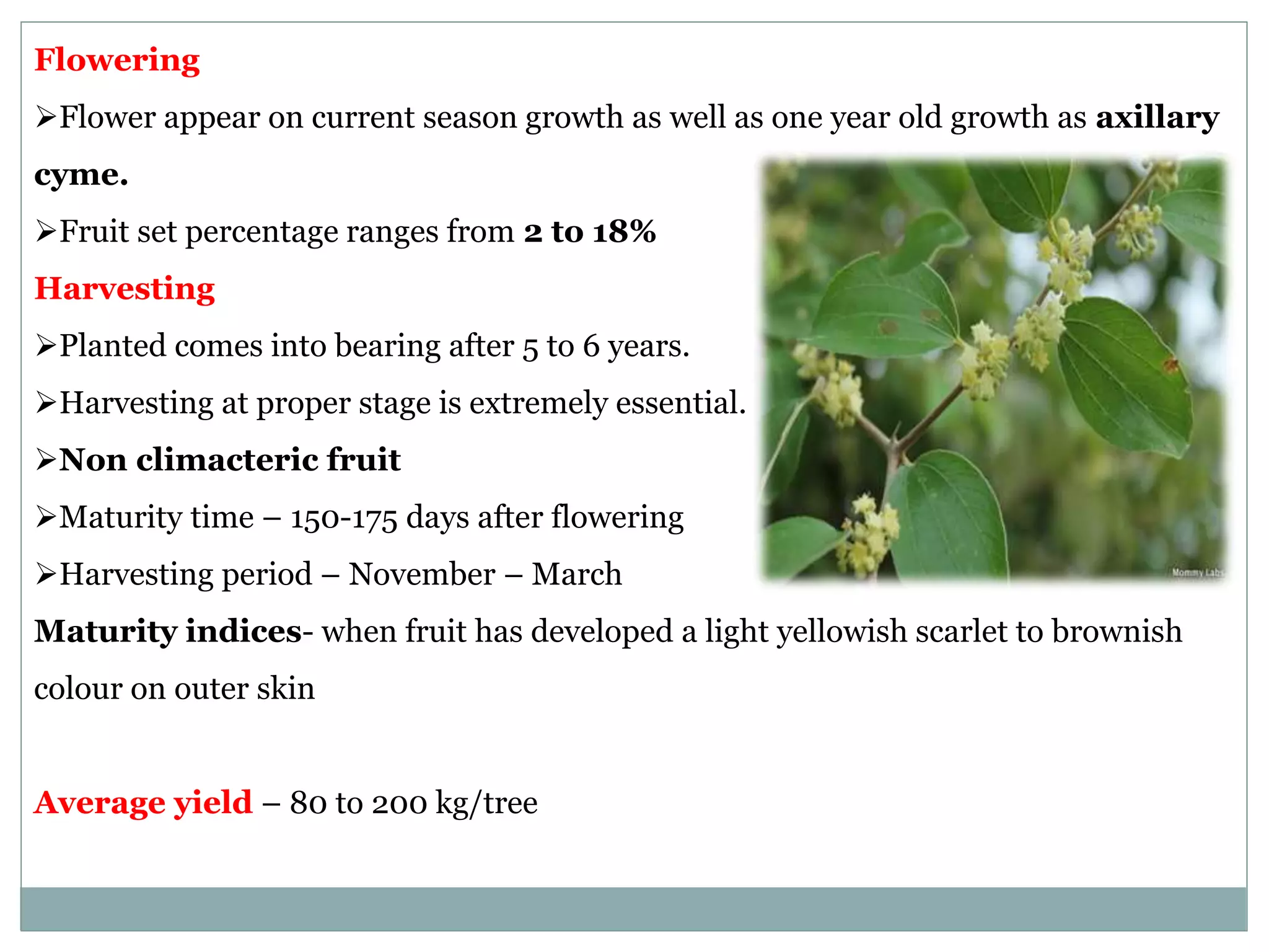 Ber ppt by pushpendra | PPTX