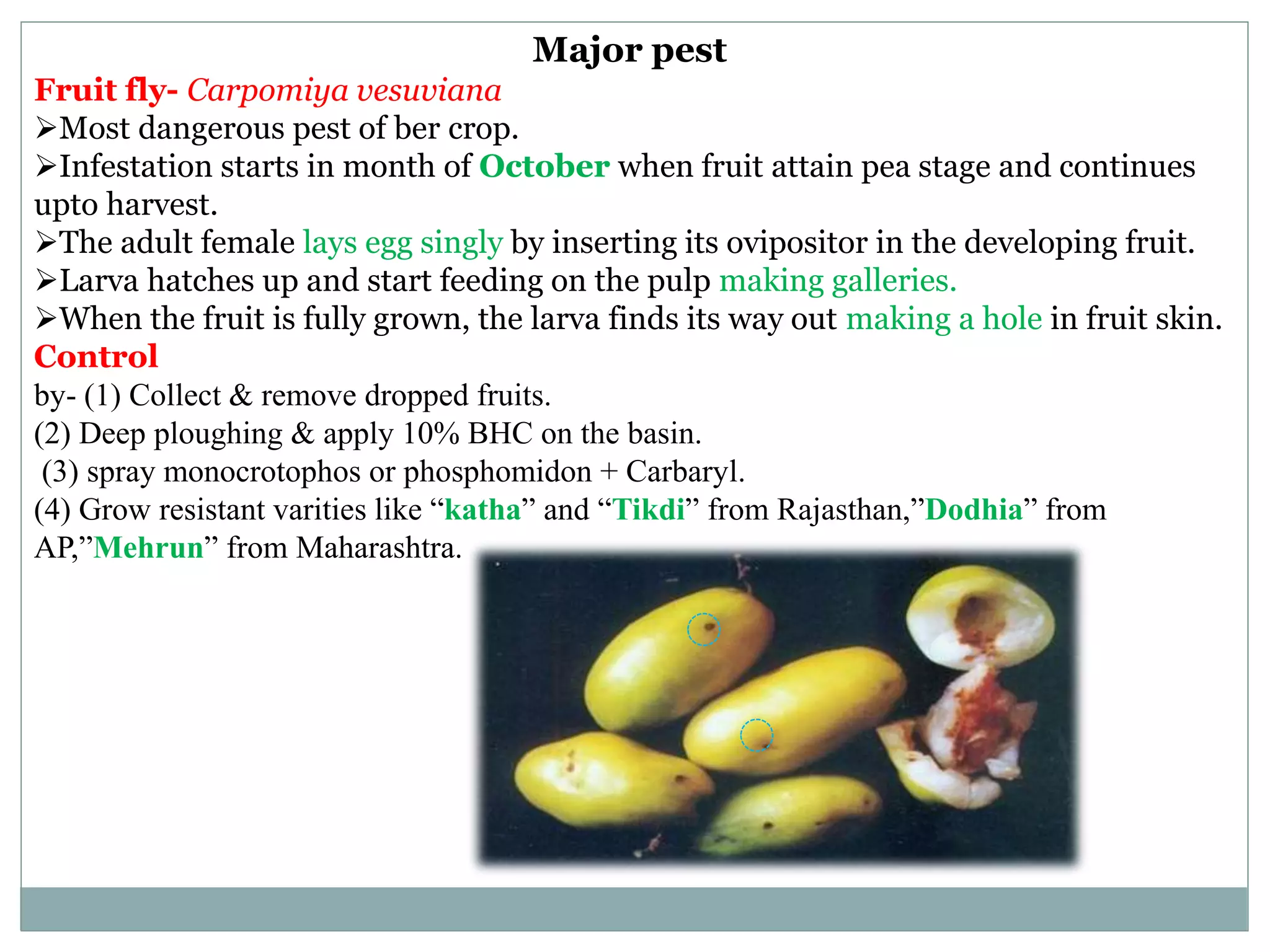 Ber ppt by pushpendra | PPTX