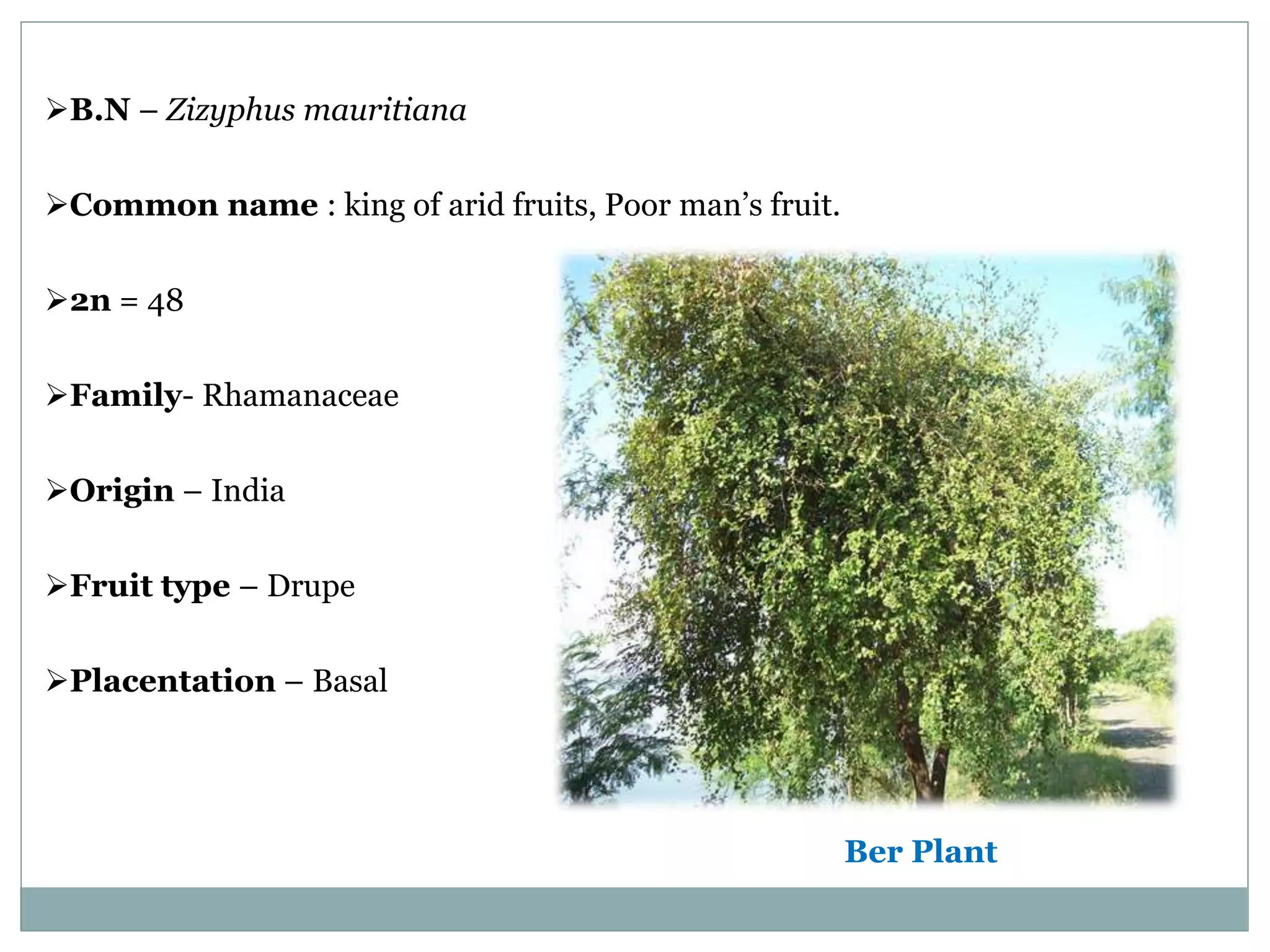 Ber ppt by pushpendra | PPTX