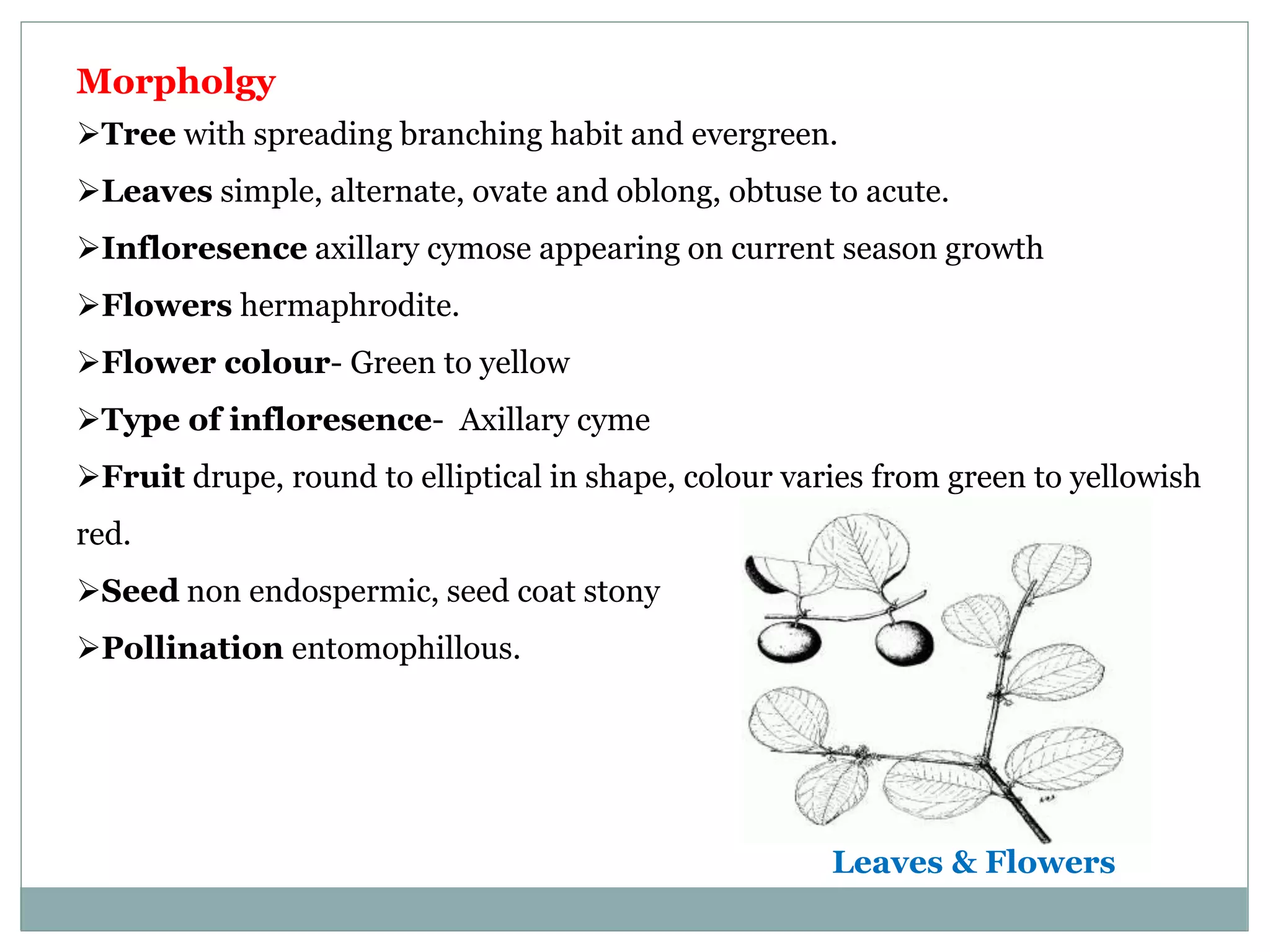 Ber ppt by pushpendra | PPTX