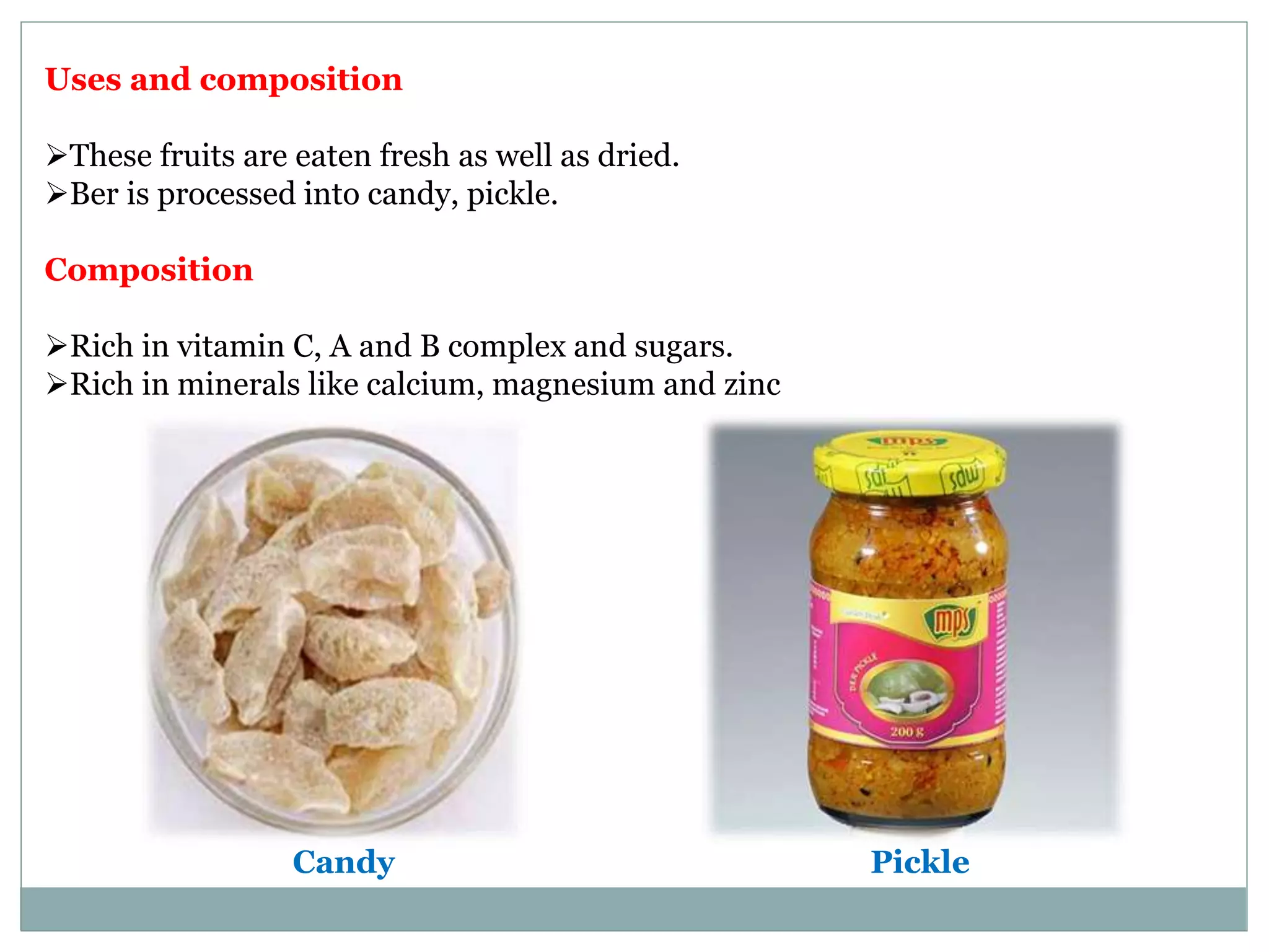 Ber ppt by pushpendra | PPTX | Agriculture | Industries