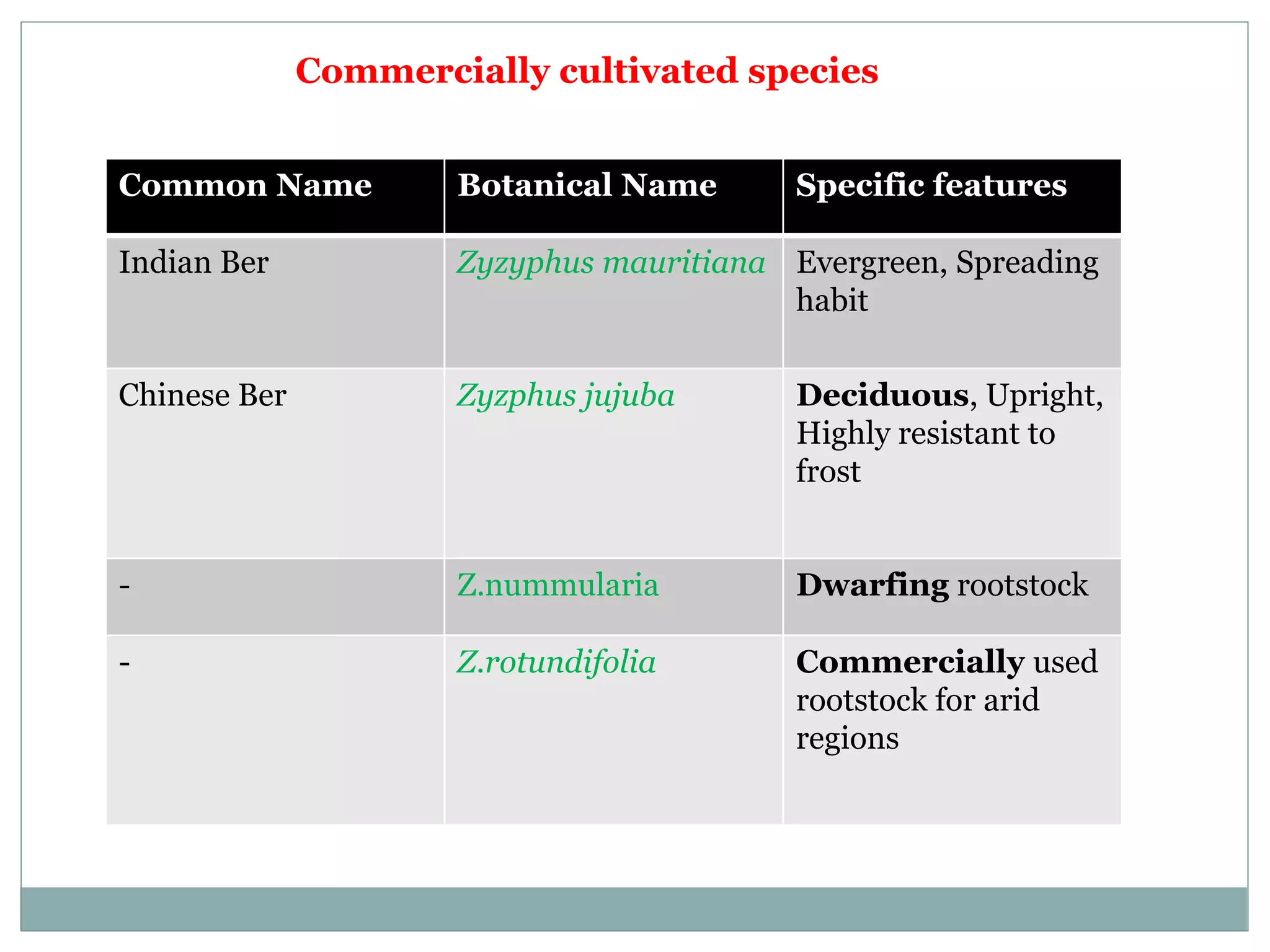 Ber ppt by pushpendra | PPTX