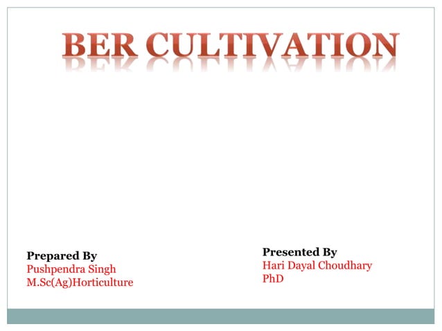 Ber ppt by pushpendra | PPTX | Agriculture | Industries