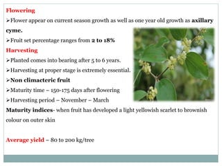 Ber ppt by pushpendra | PPTX