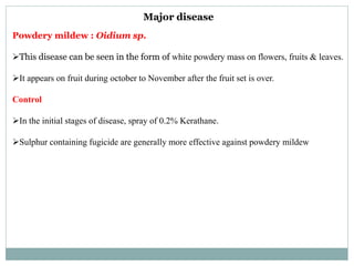 Ber ppt by pushpendra | PPTX