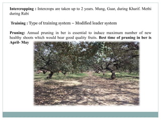 Ber ppt by pushpendra | PPTX