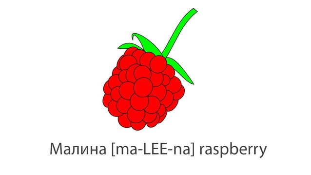 The Names of the Berries in Russian | PDF