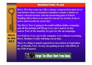 Berry Tree Presentation | PDF