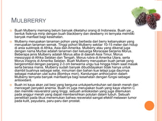 Berry fruit | PPTX