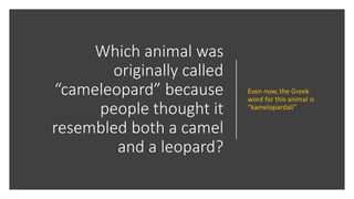 Berry's Quiz 18th July 2021 | PPTX